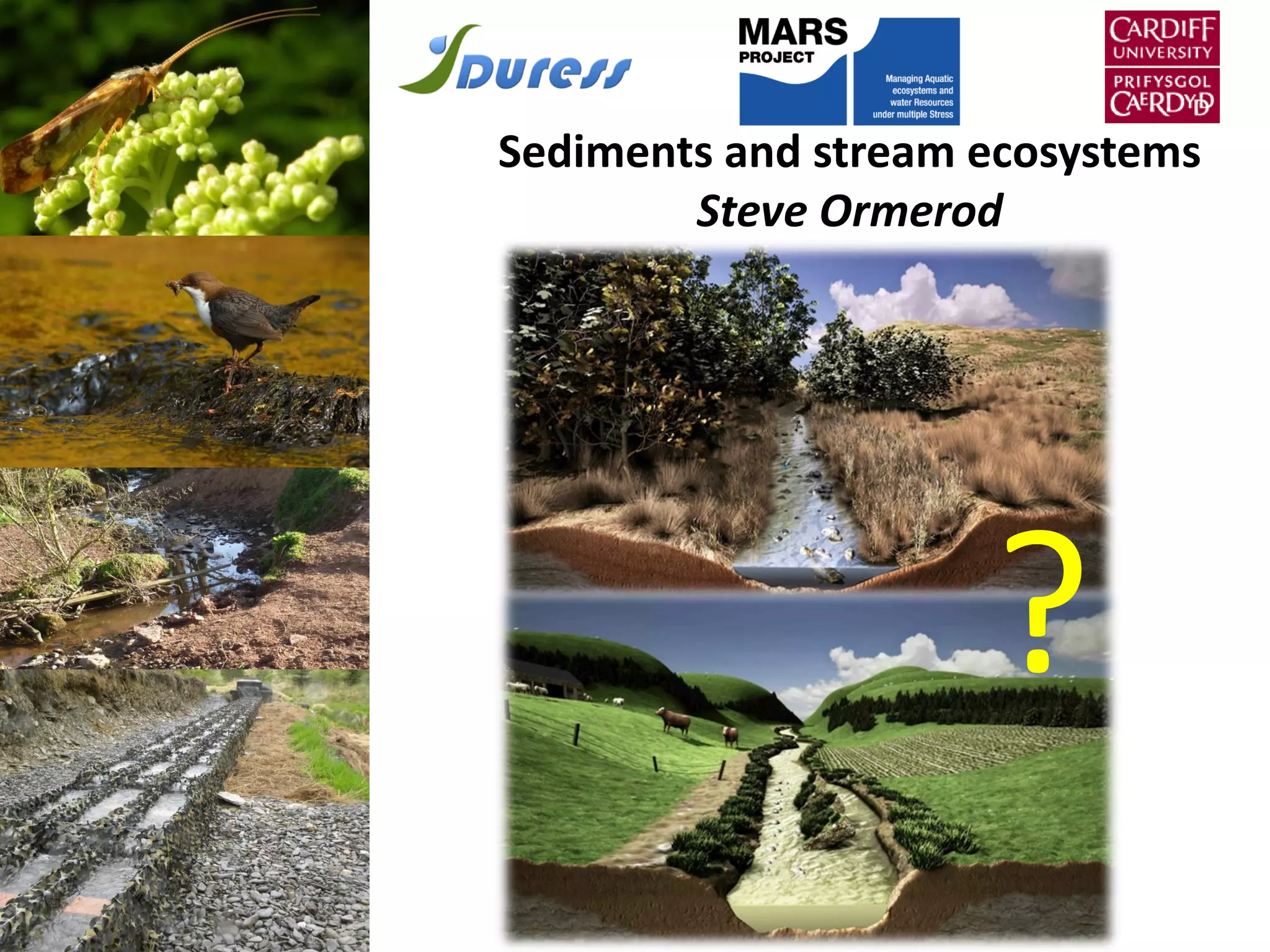 Siltflux workshop 1: Sediments and stream ecosystems - Steve Ormerod ...