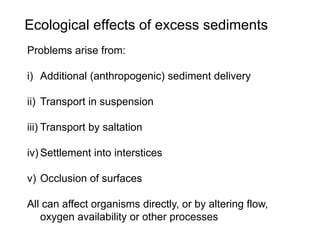 Sediments and stream ecosystems - Steve Ormerod | PDF
