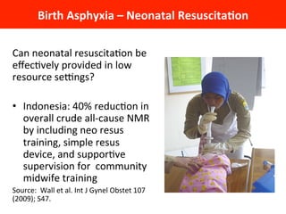Steve Wall, Saving Newborn Lives | PPT
