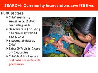 Steve Wall, Saving Newborn Lives | PPT