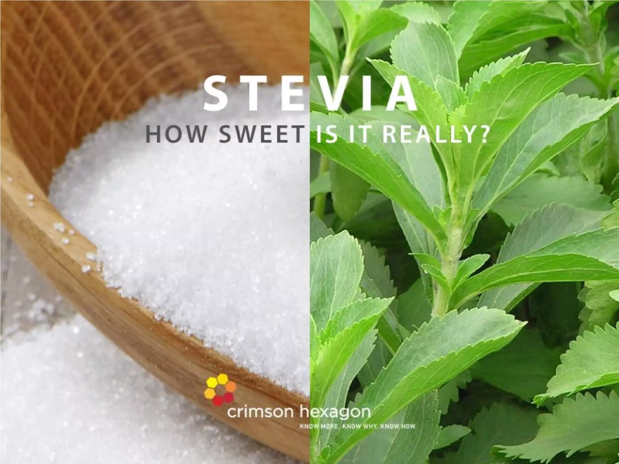 Stevia: How Sweet Is It Really? | PPT