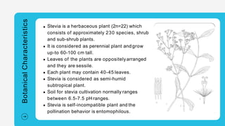 Stevia Crop (Meethi Tulsi) | PPT