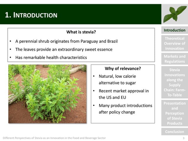 Stevia innovation university final presentation | PPT