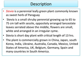 Stevia production | PPTX