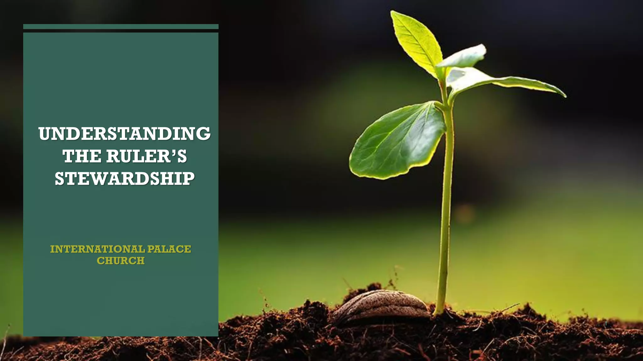 Stewardship | PDF