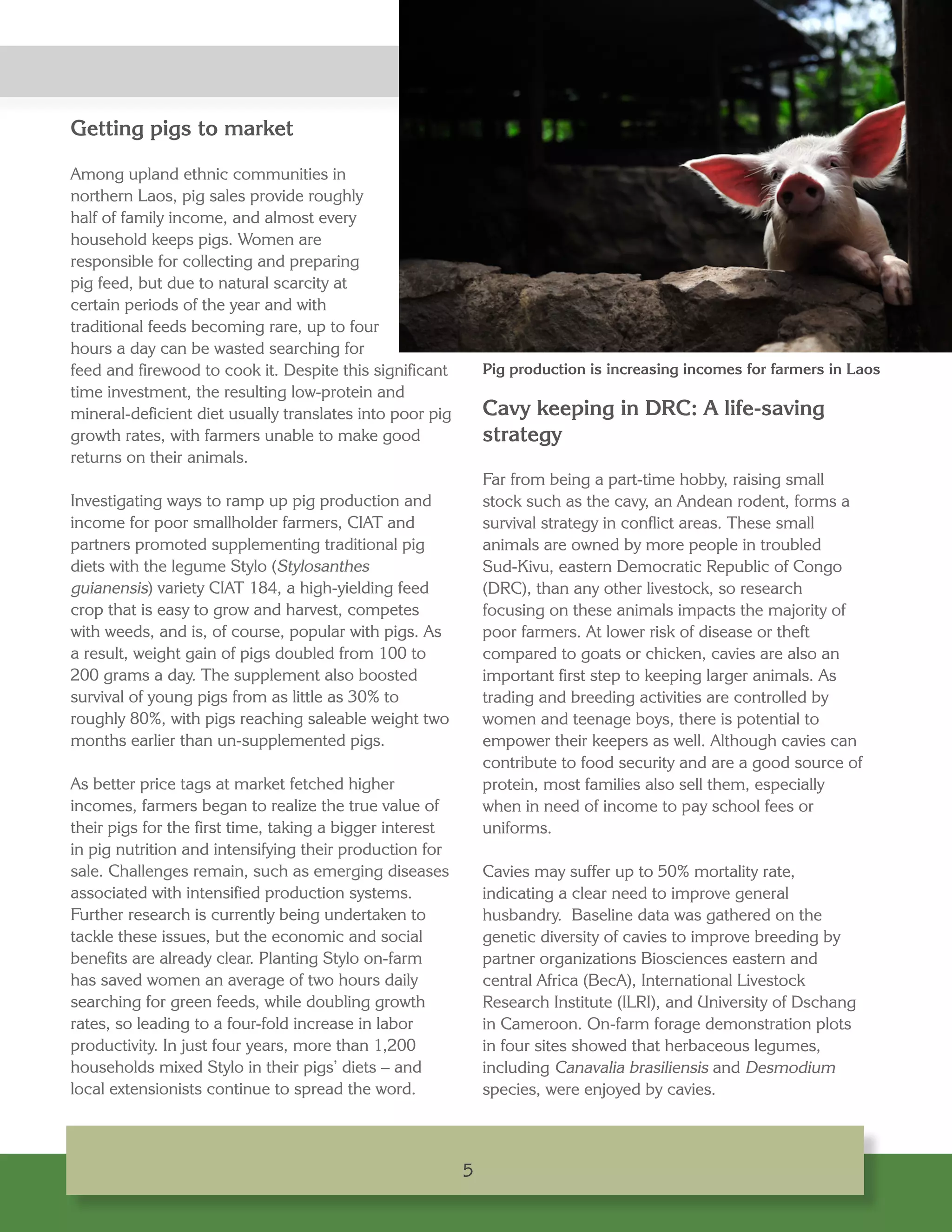 CIAT’s Partnership with Australia: Opportunity, food security, and ...