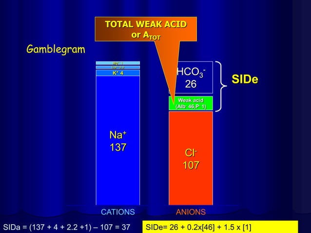 Stewart approach in acid base balance | PPTX | Brain and Nervous System ...