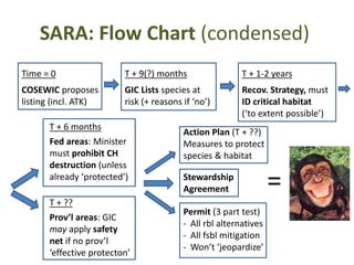 Stewart elgie foundations of sara | PPT