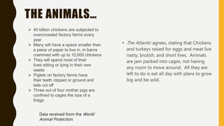 Factory Farming | PPTX