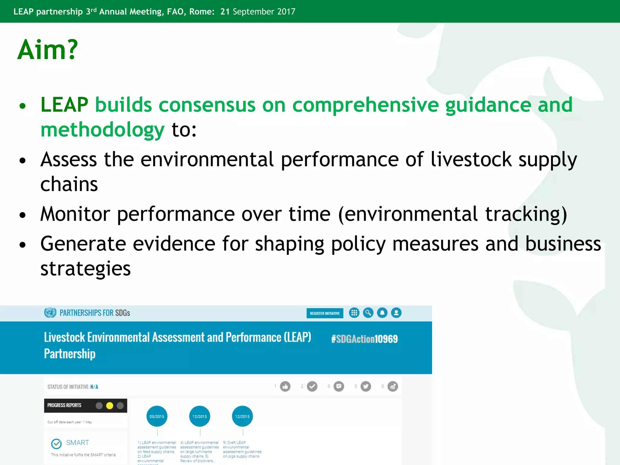 Overview of LEAP activities | PDF