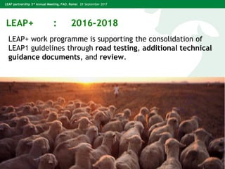 Overview of LEAP activities | PDF