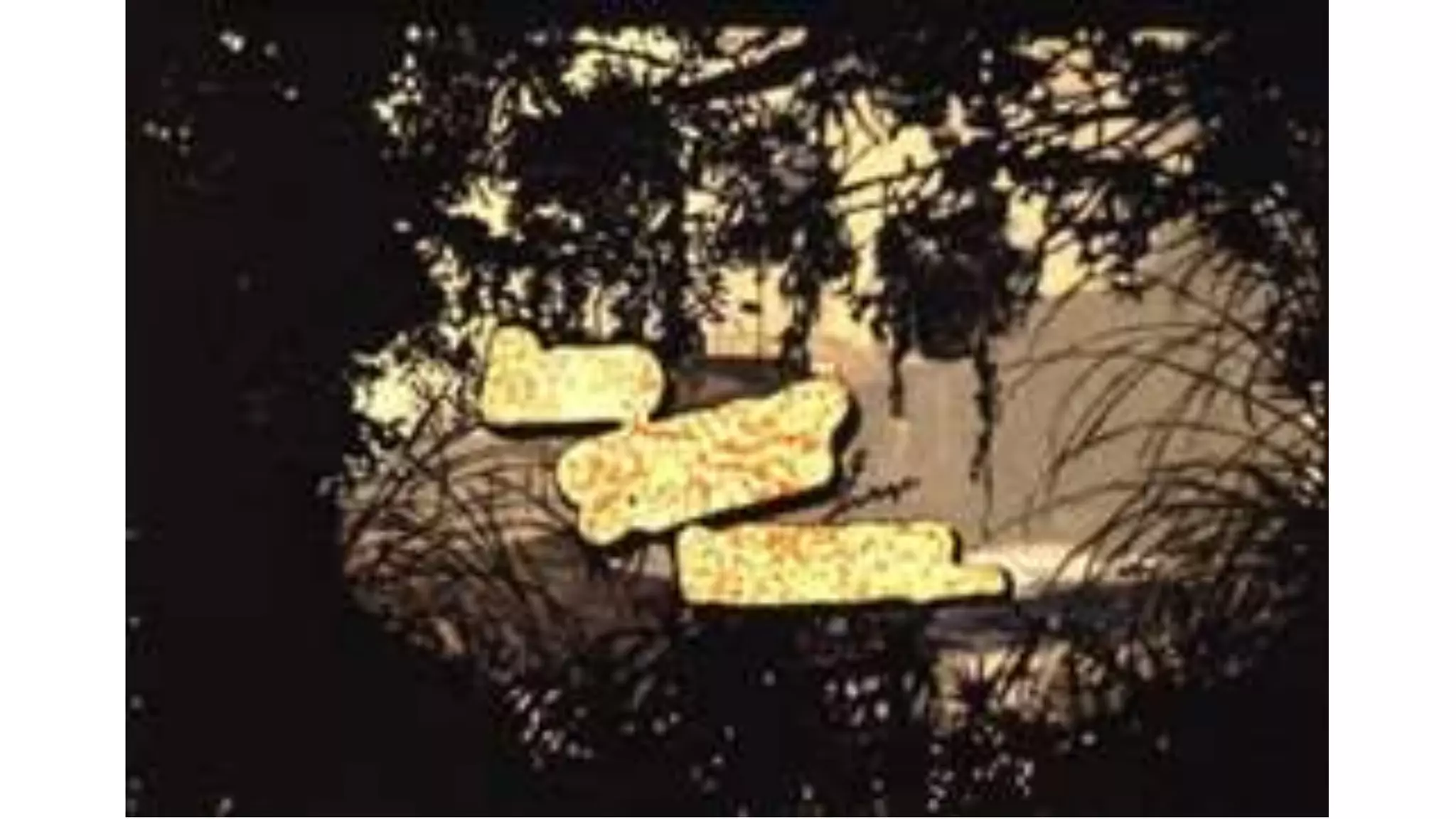 Garrett Stewart IMR Media Component | PPTX