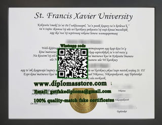Replica St Francis Xavier University diploma | PPT