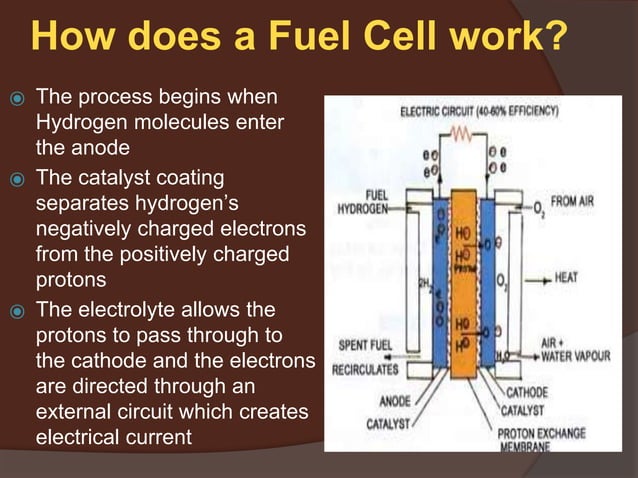 Hydrogen Fuel Cell Technology | PPTX