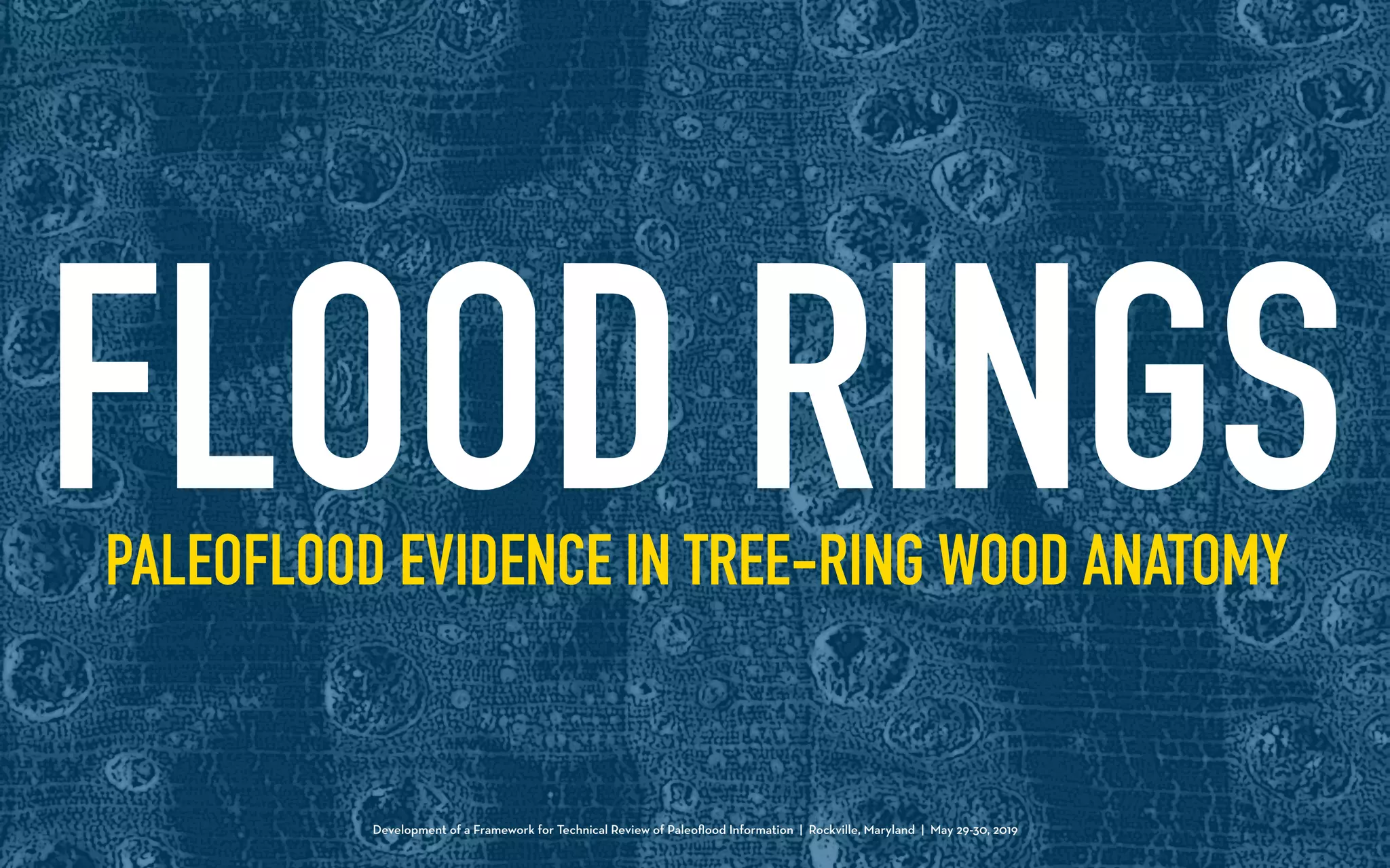 Flood rings: Paleoflood evidence in tree-ring anatomy | PPT