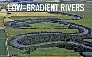 Flood rings: Paleoflood evidence in tree-ring anatomy | PPT