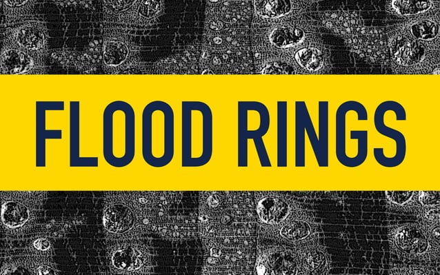 Flood rings: Paleoflood evidence in tree-ring anatomy | PPT