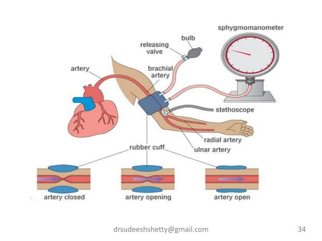 Stethoscope and BP apparatus (Sphygmomanometer) | PDF
