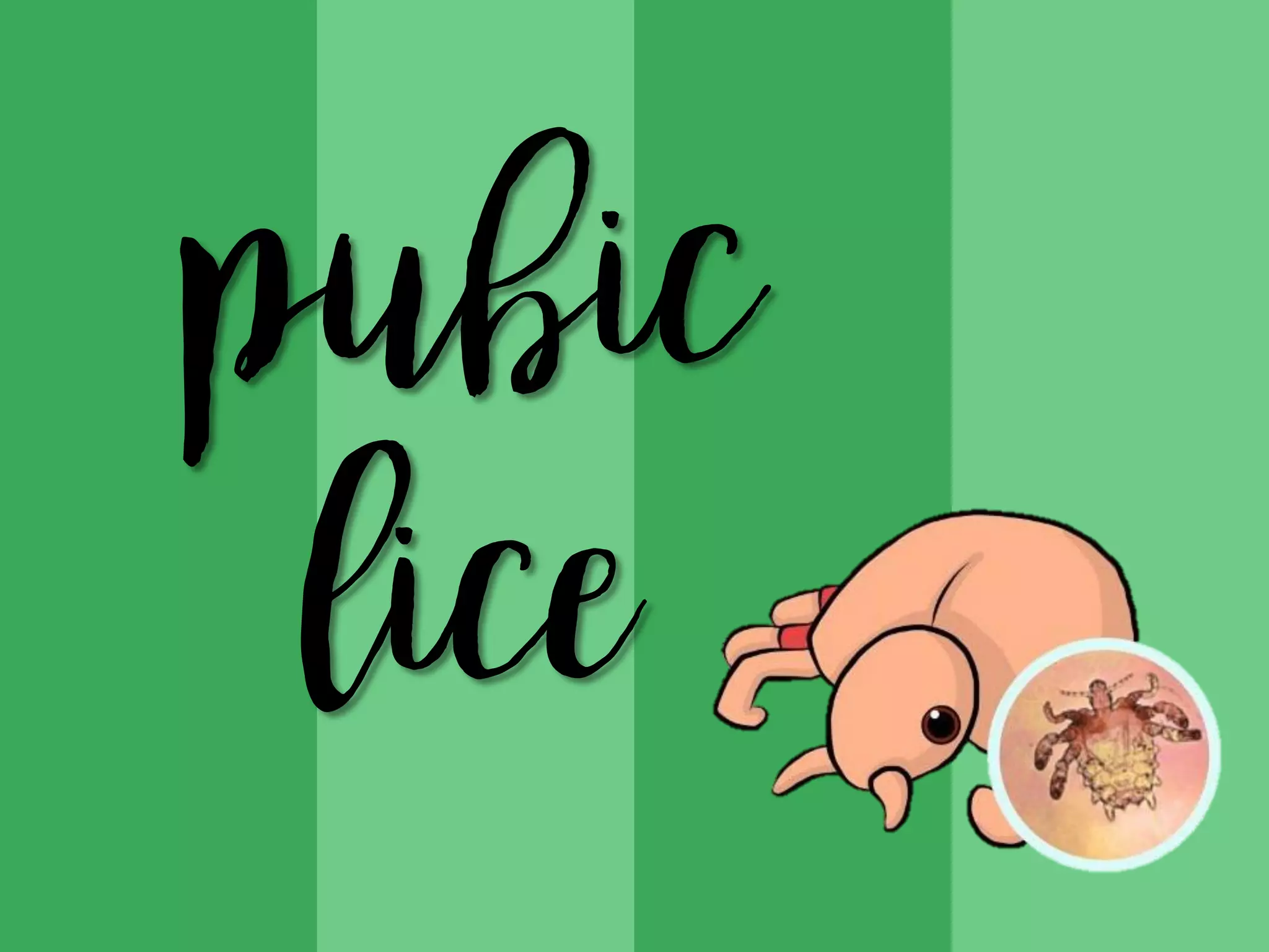 Sexually Transmitted Infection (STI) | PPT