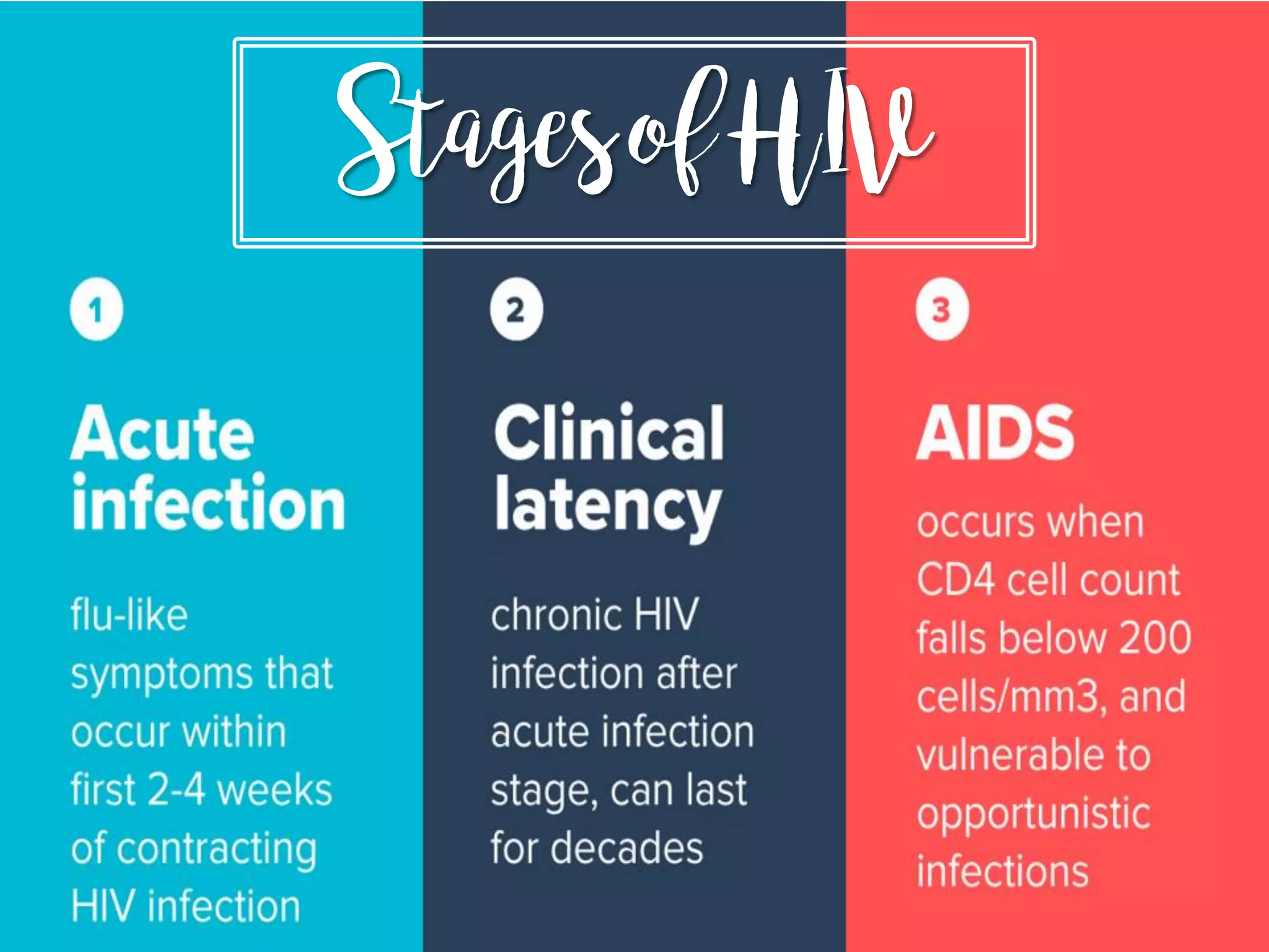 Sexually Transmitted Infection (STI) | PPT
