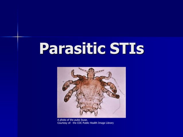 sti-unit.ppt | Sexual Conditions | Sexual Health