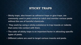 STICKY TRAP.pptx