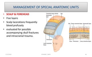SOFT TISSUE INJURIES OF MAXILLOFACIAL REGION | PPT