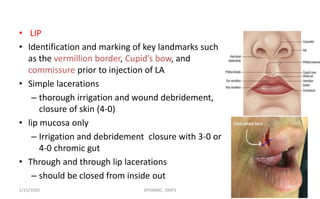 SOFT TISSUE INJURIES OF MAXILLOFACIAL REGION | PPT