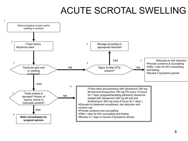 STI Flow Charts.ppt | Sexual Conditions | Sexual Health