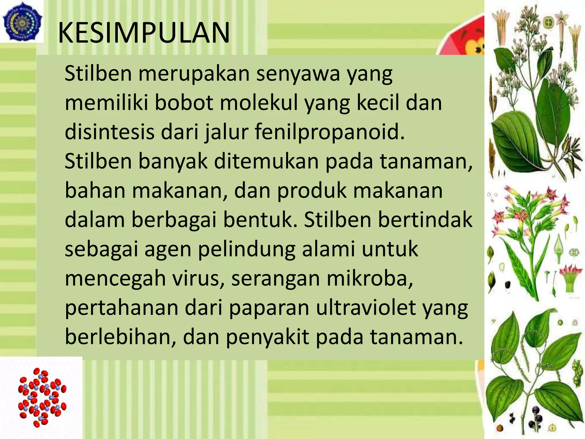 FARMAKOMETRI SENYAWA STILBENE (RESVERATROL) | PPTX