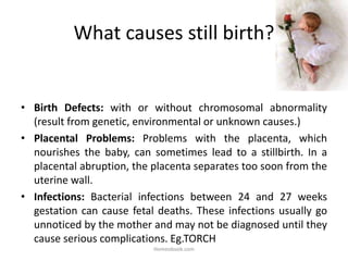 Still birth BMJ Review.pdf