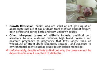 Still birth BMJ Review.pdf