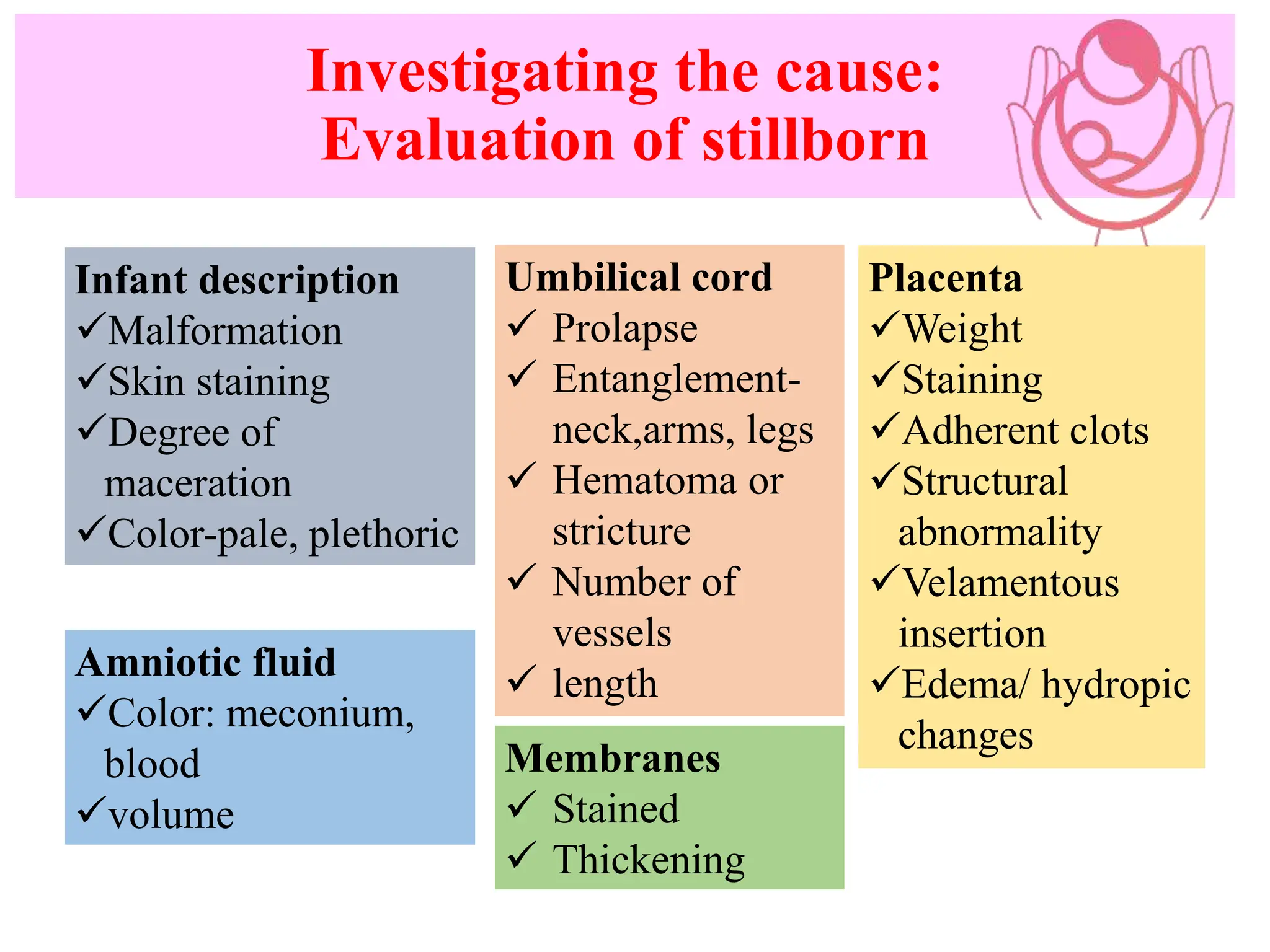 Still Birth:An Update : Dr Sharda Jain | PPTX