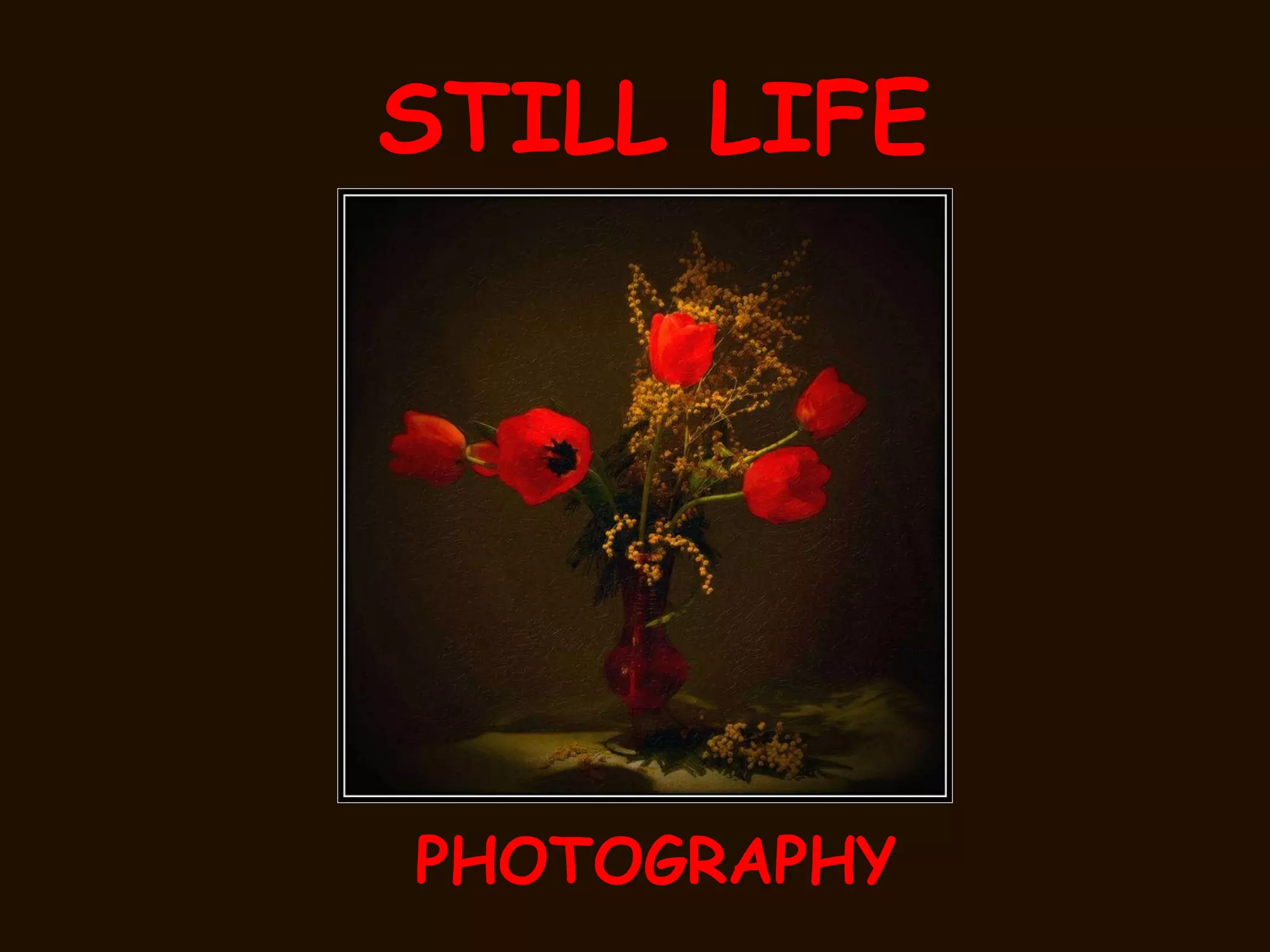 Still Life - Photography | PPT