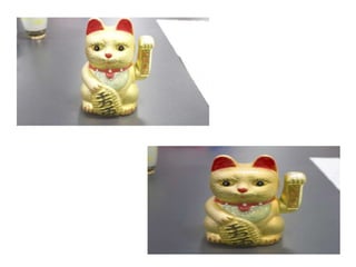 Still Pictures PowerPoint | PPTX