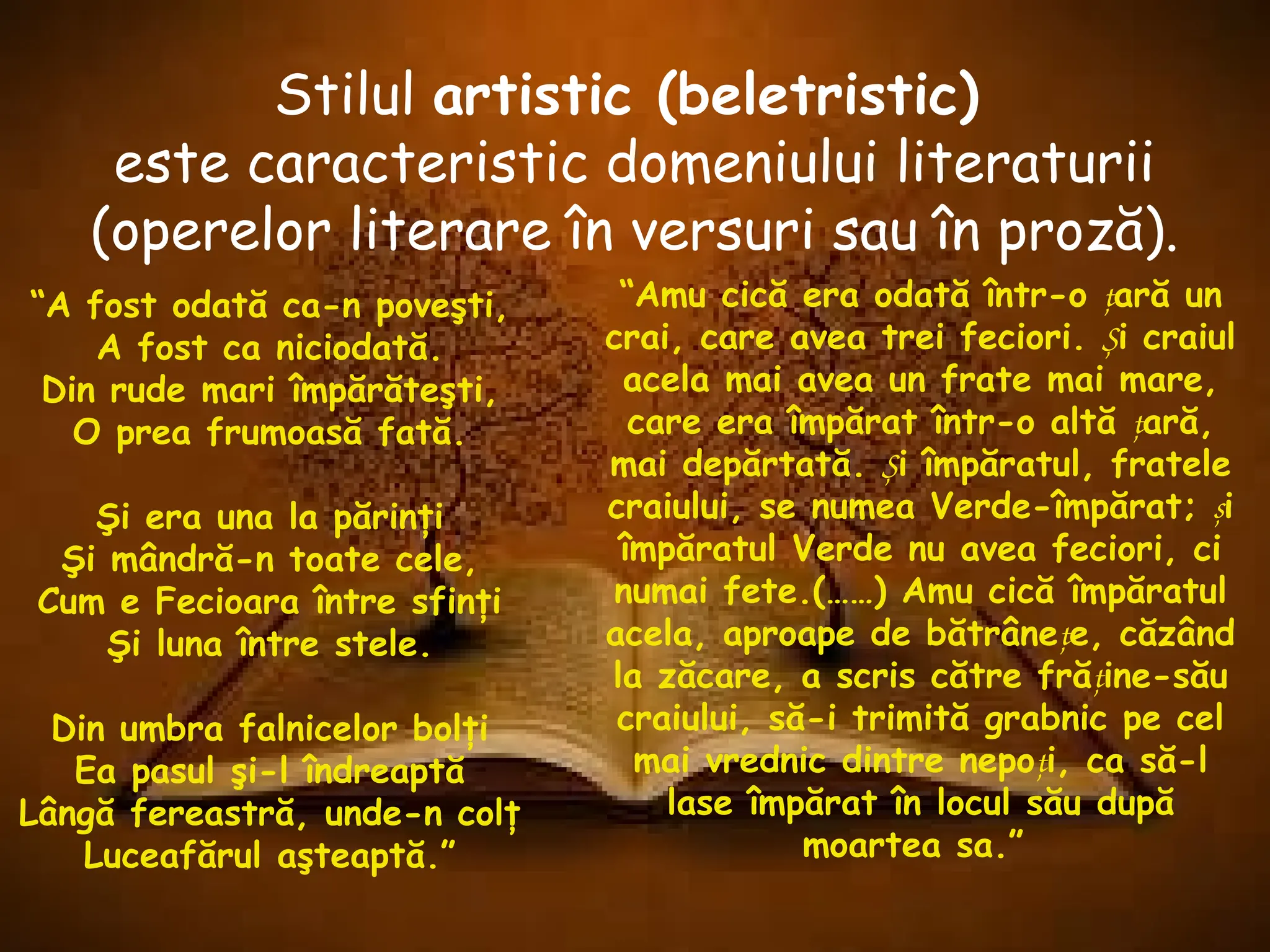 stilurile_functionale explicate ((((.ppt
