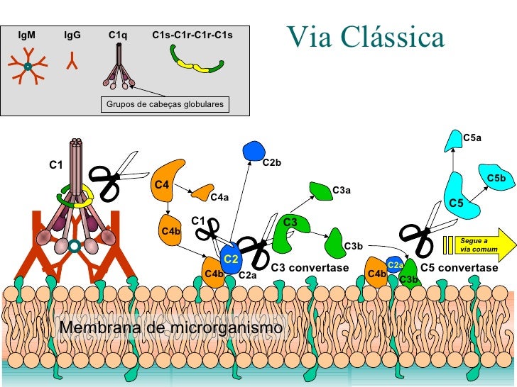 Sétima aula sist. complemento