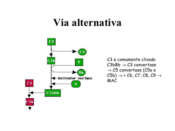 Sétima aula sist. complemento