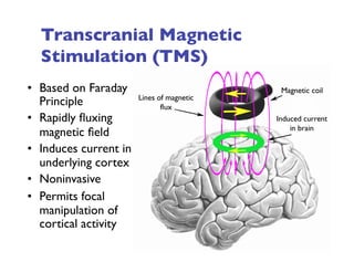 Transcranial Brain Stimulation: Science and Ethics | PDF