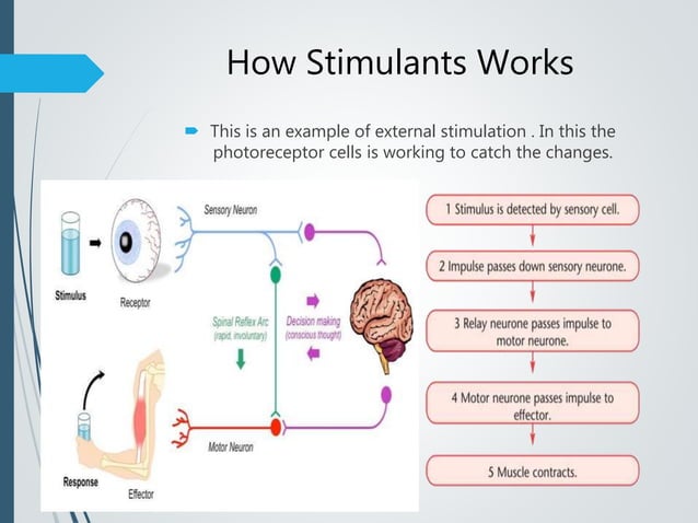 Stimulation | PPT