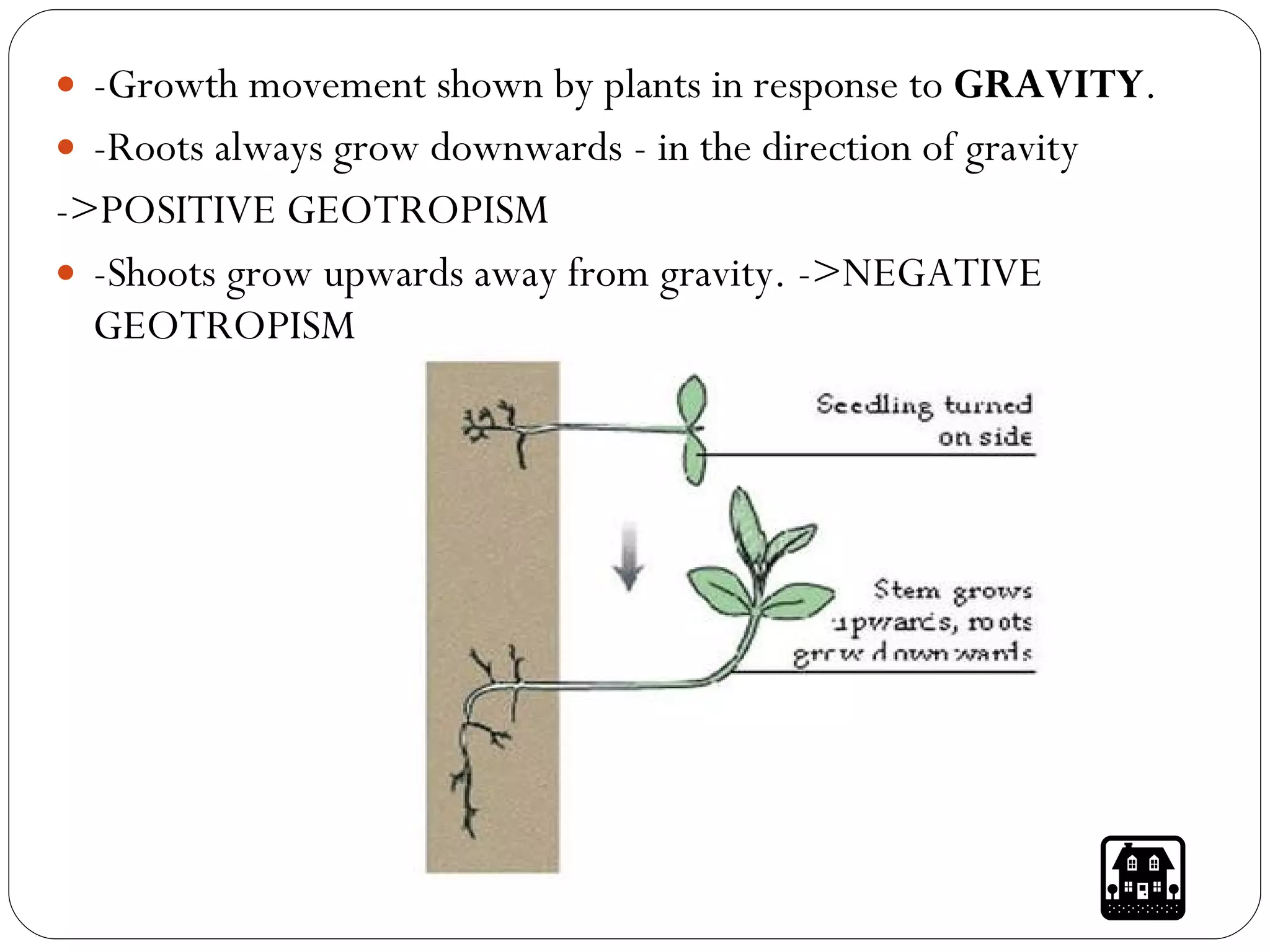 Stimuli and responses in plants | PPT