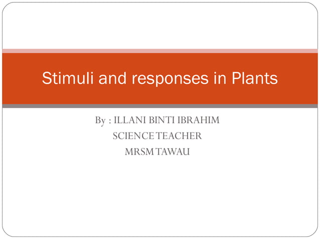 Stimuli and responses in plants | PPT