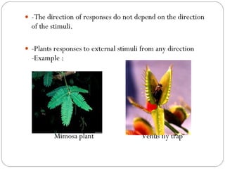 Stimuli and responses in plants | PPT