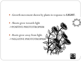 Stimuli and responses in plants | PPT