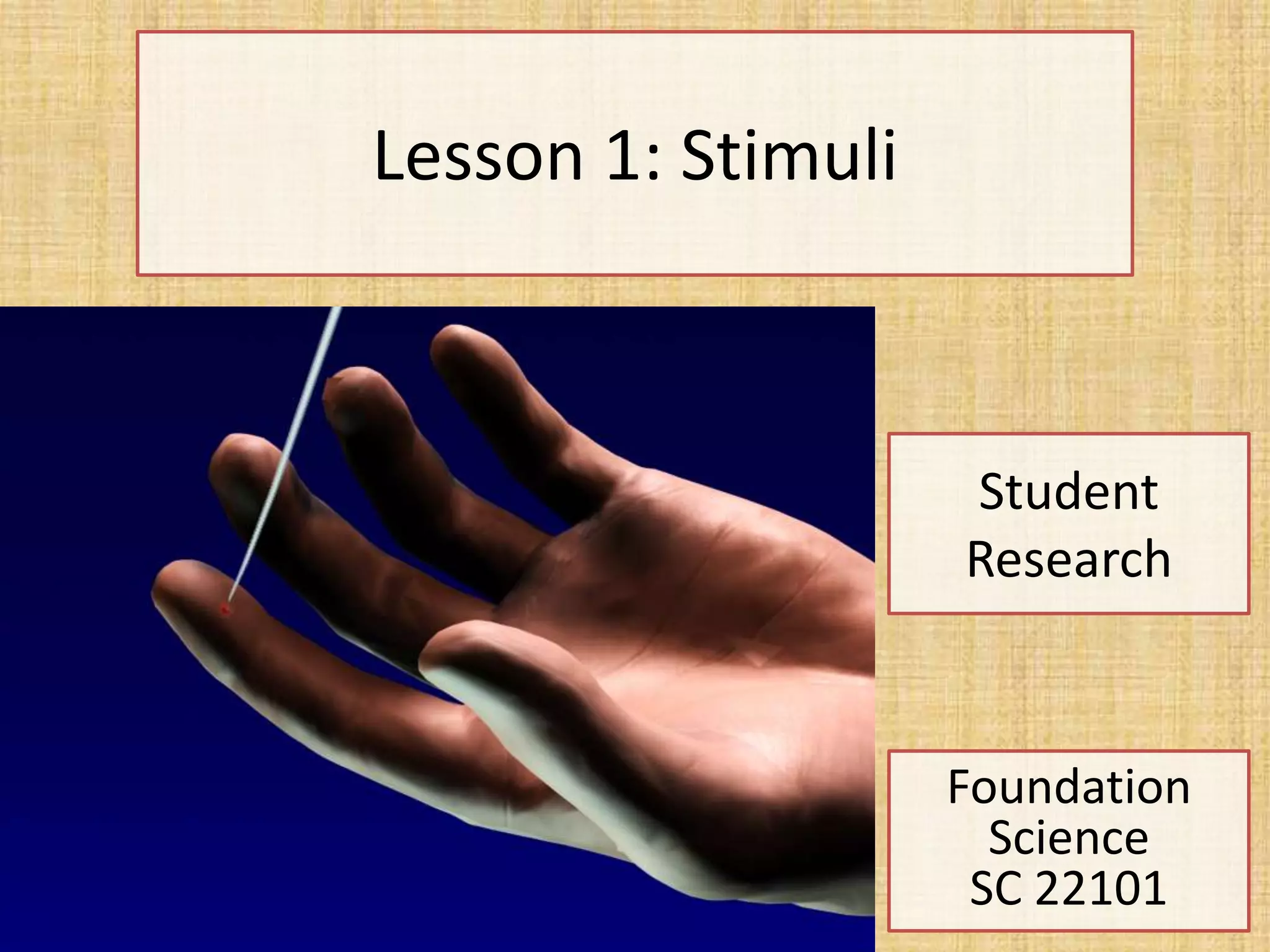 Stimuli lesson 1 | PPT