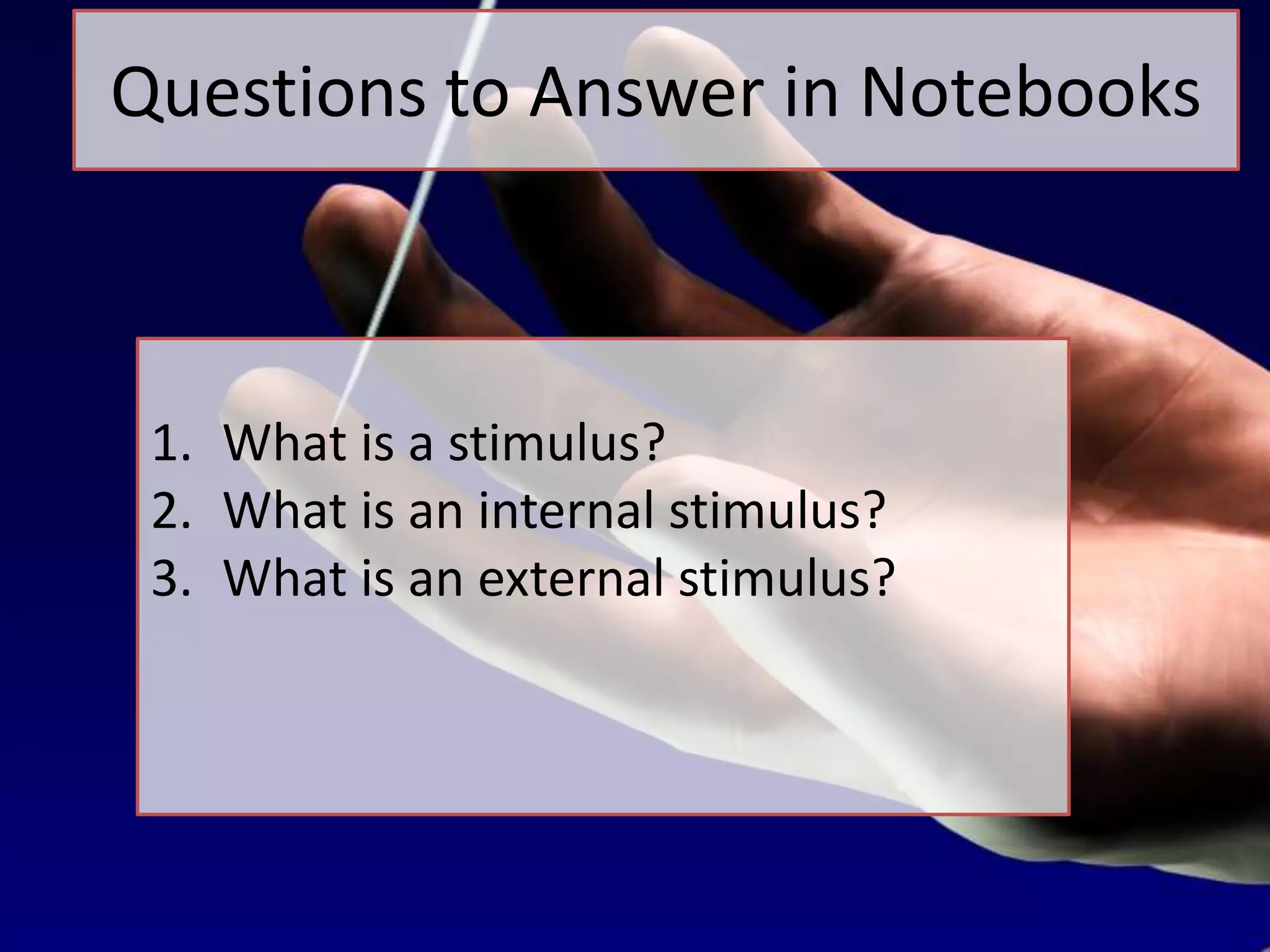 Stimuli lesson 1 | PPTX