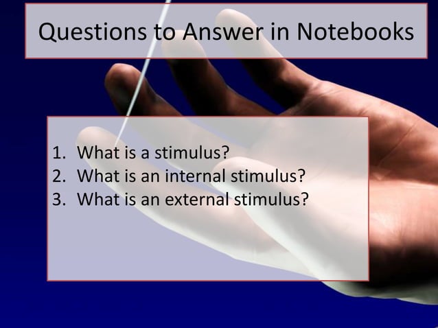 Stimuli lesson 1 | PPTX