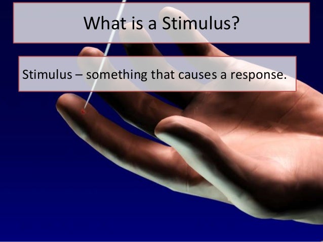 Stimulus