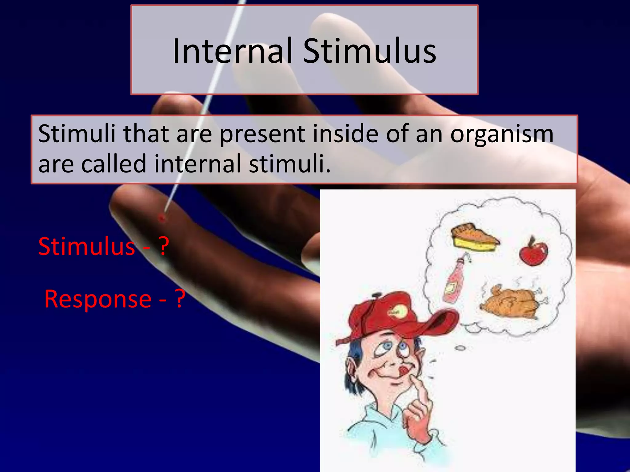 Stimuli lesson 3 | PPTX