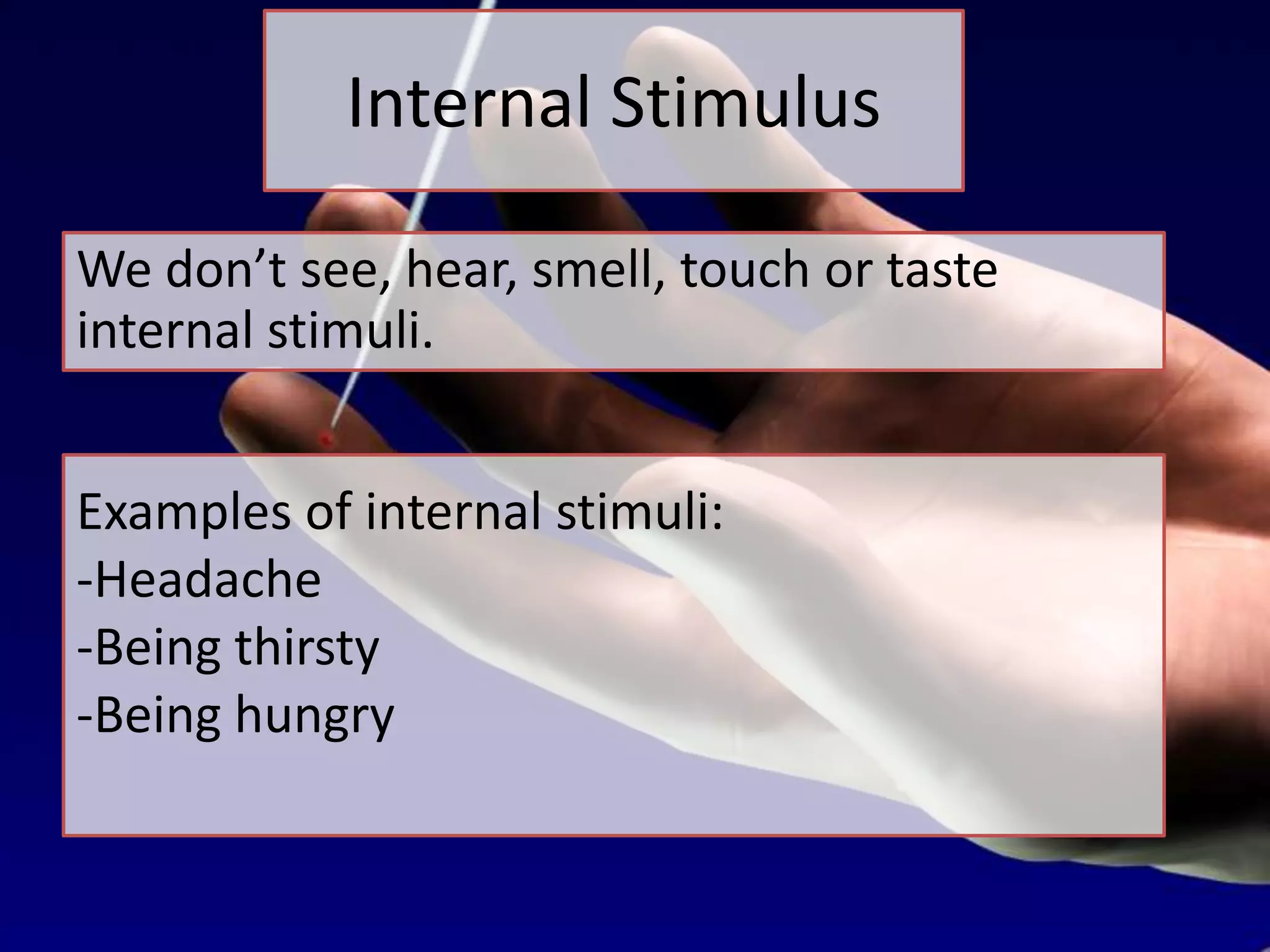 Stimuli lesson 3 | PPTX